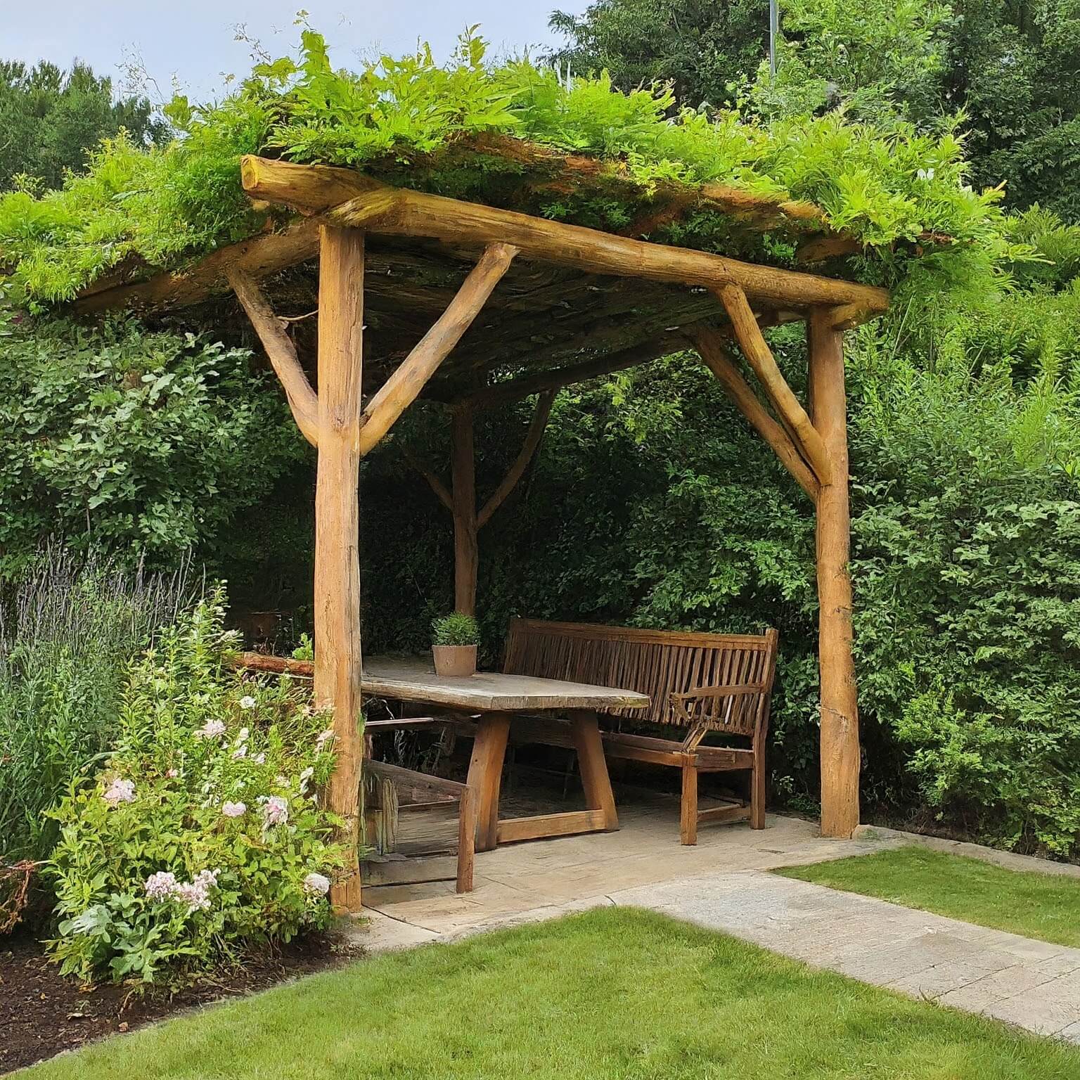Pergolas - Texas Backyard Enclosure